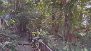 Singapore Walk:  Labrador Nature Reserve