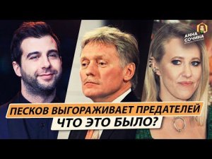 Зачем Песков оскорбляет патриотов? (Анна Сочина)