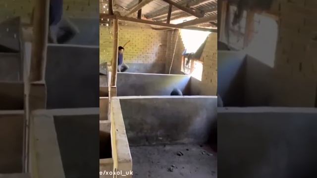 "Вам повестка". На Украине идёт очередная волна мобилизации.