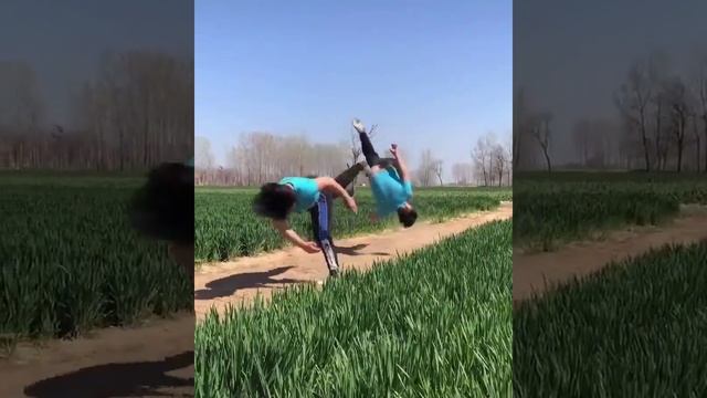 Пухленькие но очень ловкие!