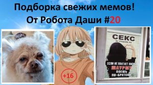 Юмор. Мемы. #20