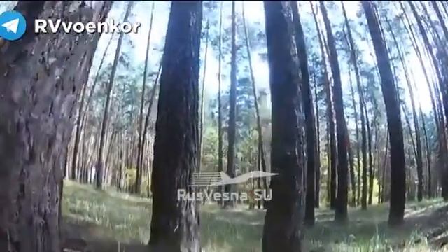 Охота снайпера спецназа Отважных за ВСУ в лесу на Донбассе.