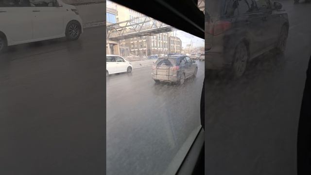 Весна, кошка и "красоты" Новосибирска
