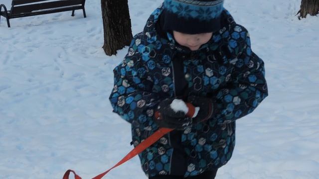2016 - 02 февраль