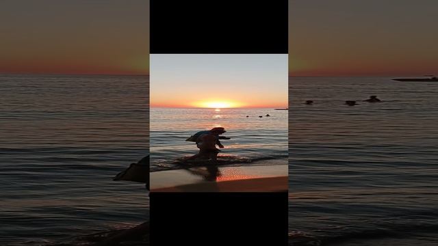 Карточка видео
