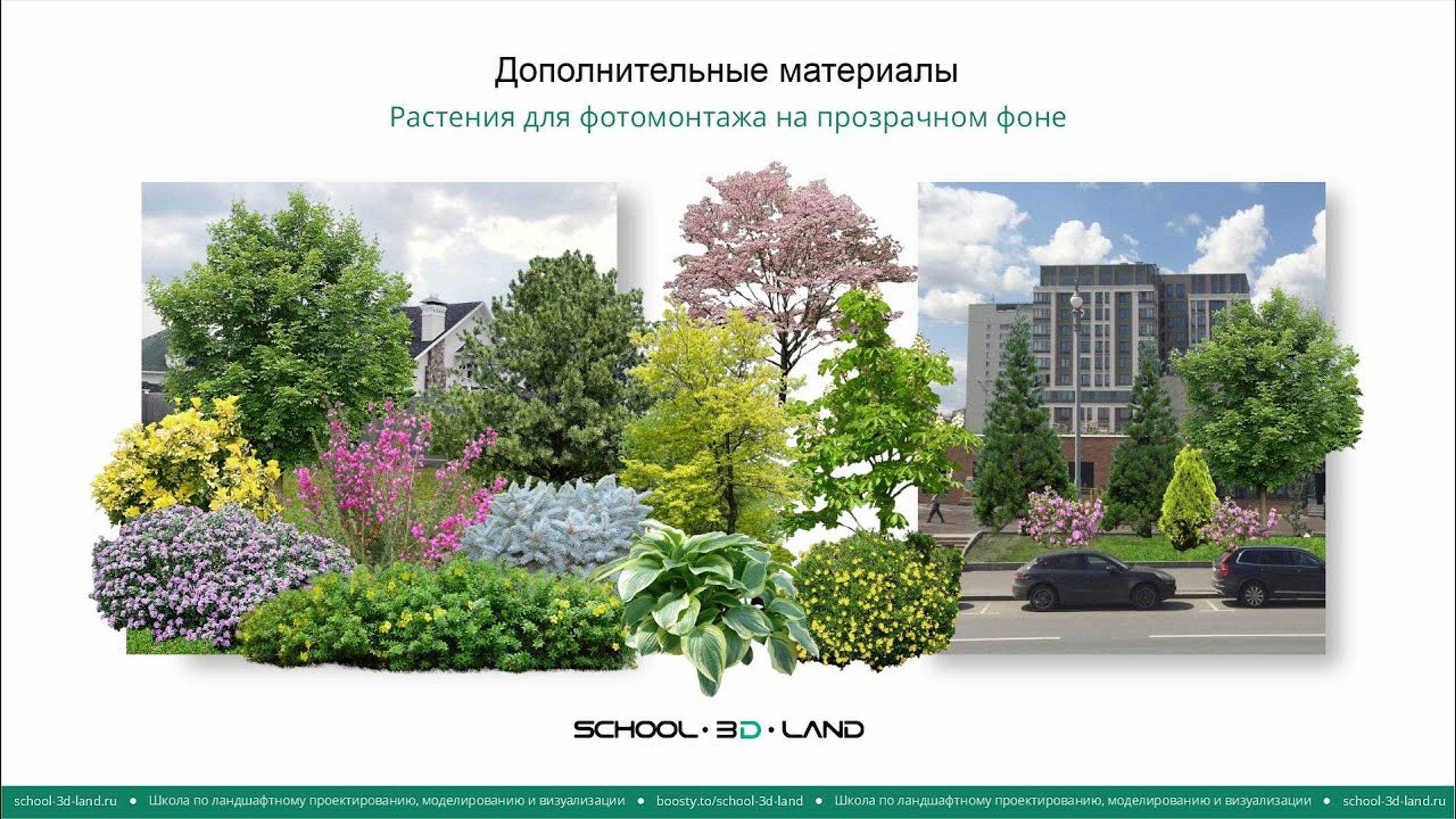 CD17. Растения для фотомонтажа на прозрачном фоне. Часть 1