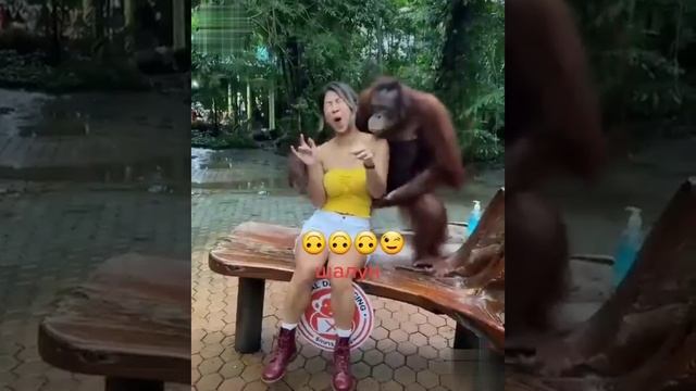 Шалунишка.
