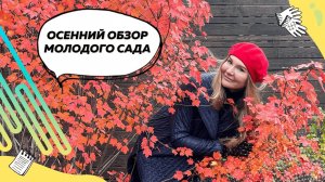 Осенний обзор молодого сада | Ландшафтный дизайн маленького участка | Ландшафтный дизайн 6 соток