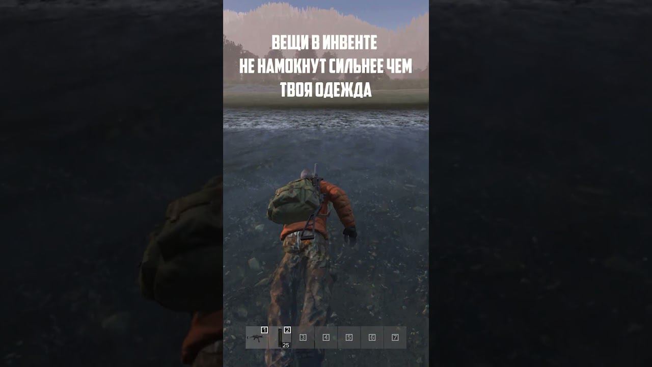 Интересный факт DayZ! #shorts  #nickos  #баги #база