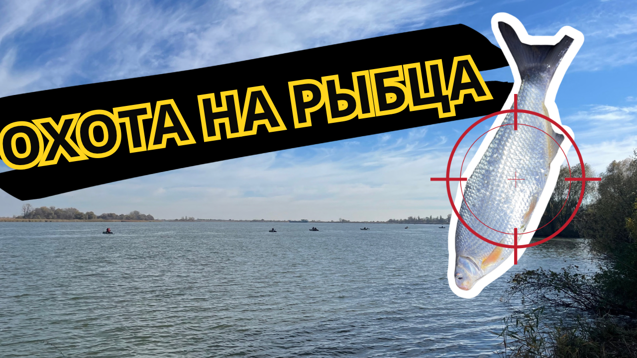РЫБАЛКА НА ФИДЕР ОСЕНЬЮ. ЦЕЛЬ - РЫБЕЦ. ФИДЕР НА РЕКЕ.