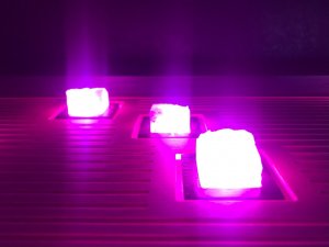 Светодиодный светильник для бани RGB своими руками.