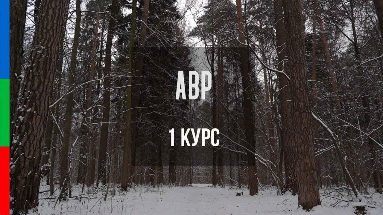 ДО12 Сеничева Дарья Атмосфера