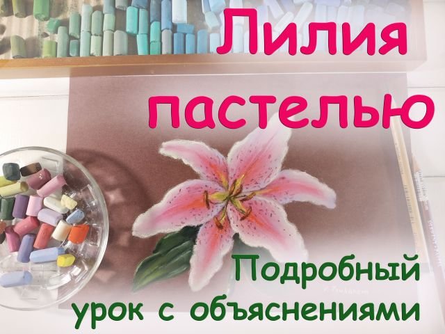 Как нарисовать лилию пастелью. Мастер-класс с подробным объяснением.  Виктория Цуканова.