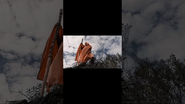 Оранжевый собрался в Донфильм на совет веторов!