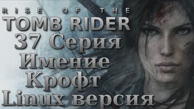 Восхождение расхитительницы гробниц - 37 Серия (Rise of the Tomb Raider - Linux версия)