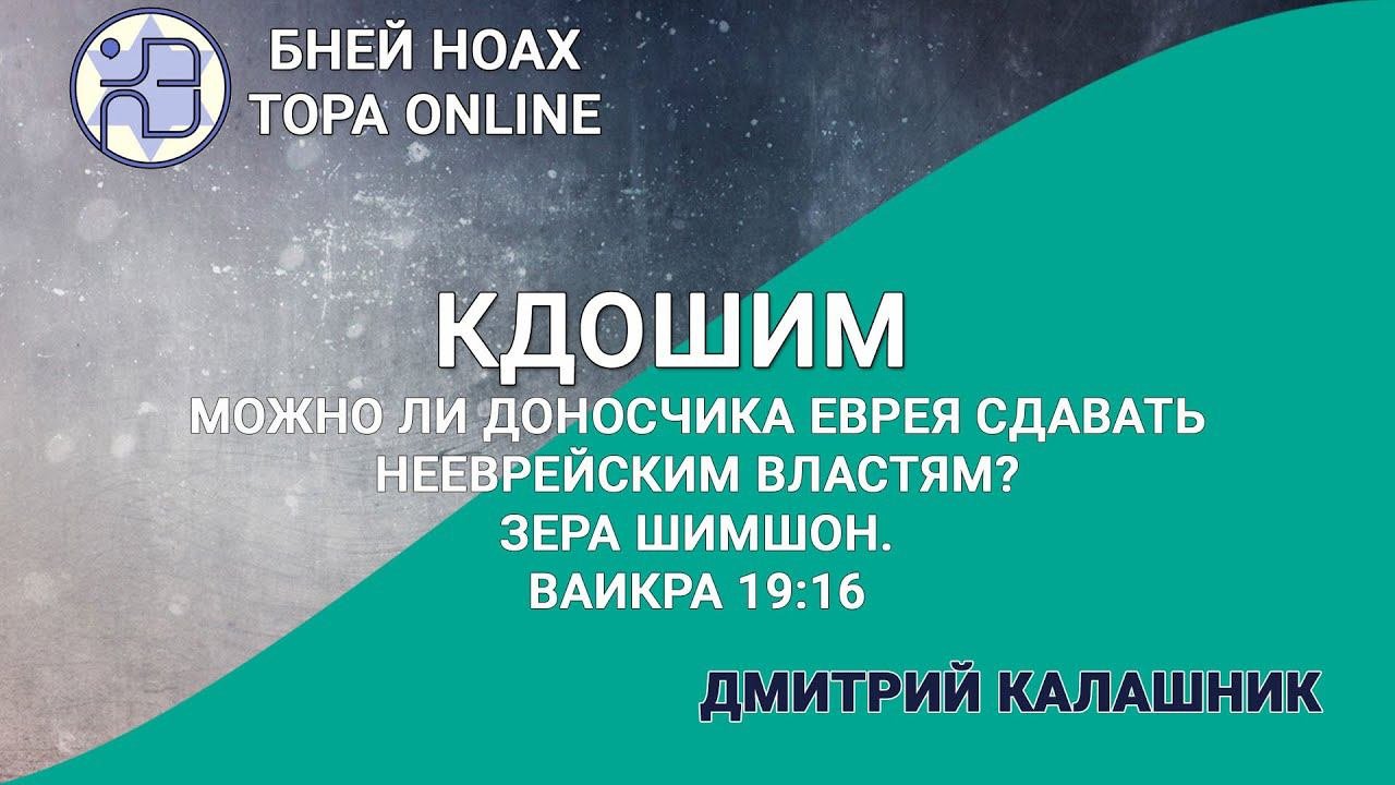 Можно ли доносчика еврея сдавать нееврейским властям? Зера Шимшон 3. ВКР 19-16.  Глава Кдошим