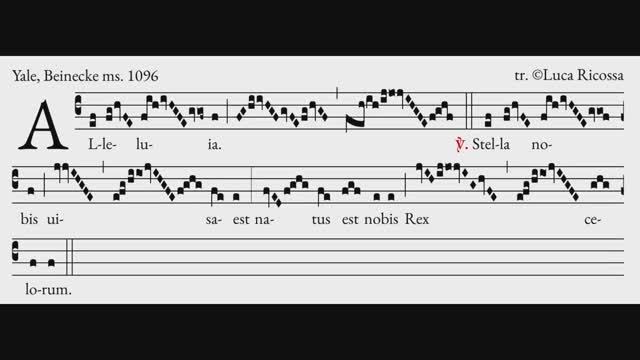 Alleluia Stella nobis visa est