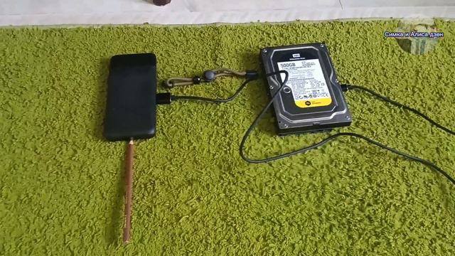 Как проходит ОБЫЧНЫЙ ДЕНЬ в лаборатории Симки и Алисы!🤔😸