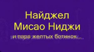 моя собака