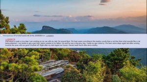 Chan story - /x/ - Encounters in North Carolina