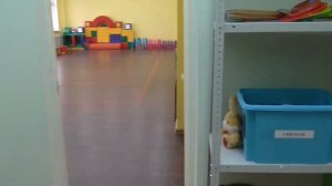 Развивающая предметно-пространственная среда