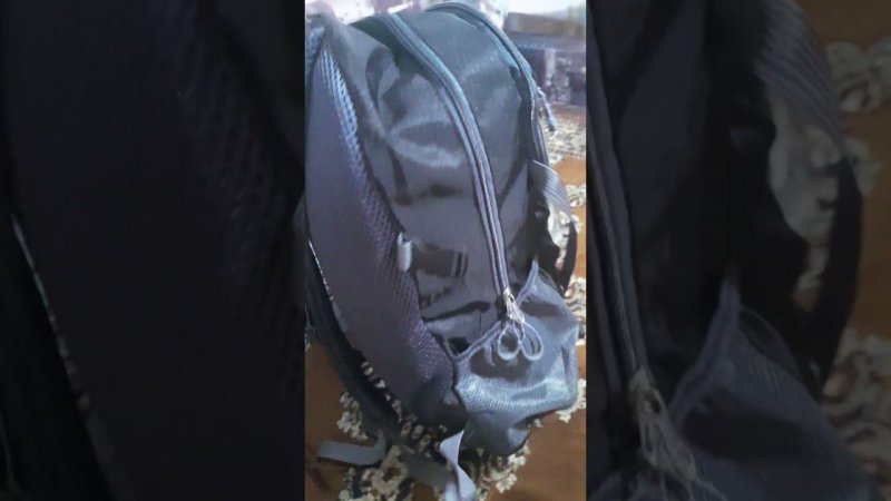 Рюкзак Scout shorts