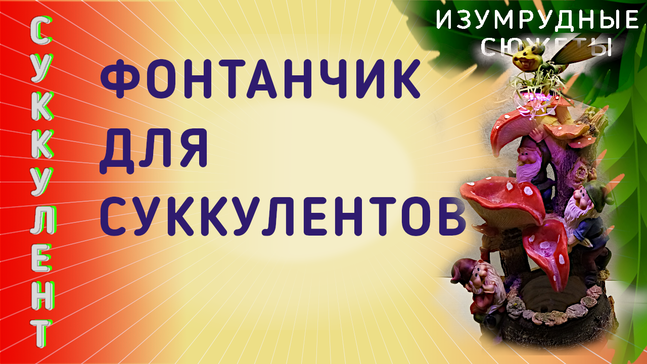 СУККУЛЕНТЫ. Фонтанчик для суккулентов #своими_руками.