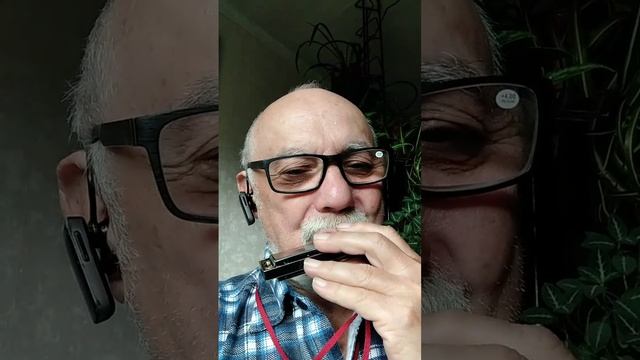И.Истомин. Кан-кан