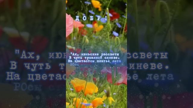 Ах, июньские рассветы