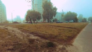 Туман в городе.mp4