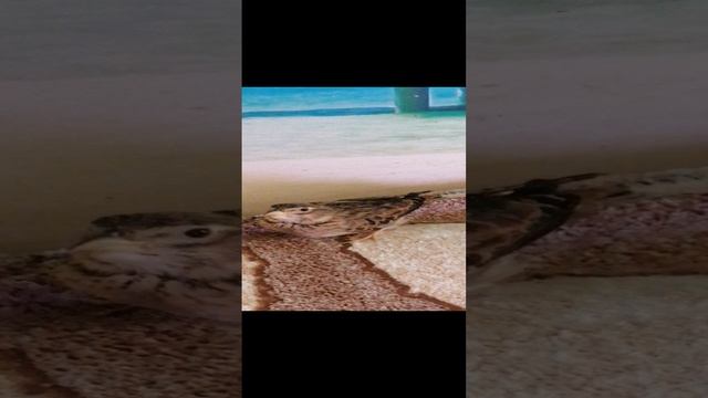 Диванный жаворонок))