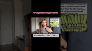 Почему в России все раздают кабачки