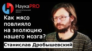 Станислав Дробышевский - Ускорение эволюции мозга вследствие перехода на мясную пищу