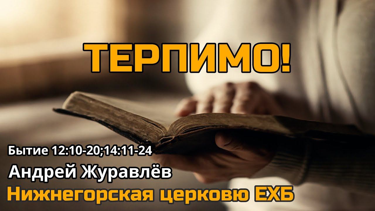 Терпимо! (Андрей Журавлёв)