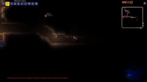 TERRARIA : ТРИ ПИКСЕЛЬНЫХ ДУРОЧКА