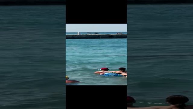 ► 20.08.2024. приплыли дельфины!
Palm Beach Resort Hurghada Egypt