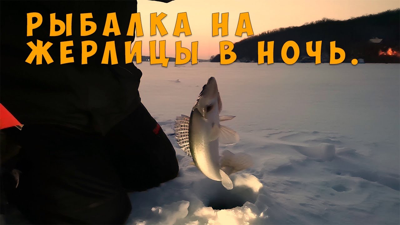 Рыбалка на жерлицы в ночь. (Попытка №2). Первый и единственный судак.