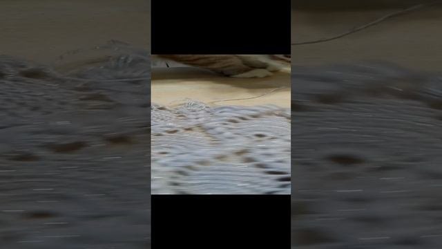 Шаль с объемными листиками