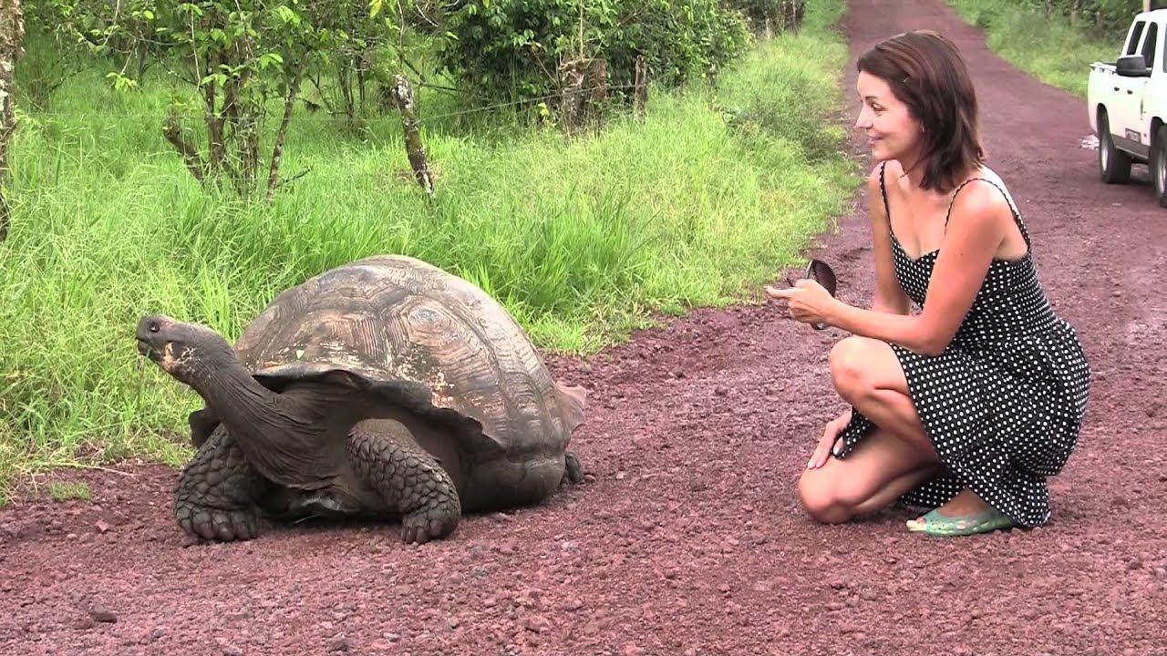 Галапагосские острова: Видео Привет