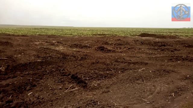 Казаки Общины денасвинифицируют украину ?
