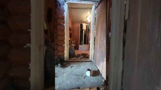 Дверь в деревянный дом