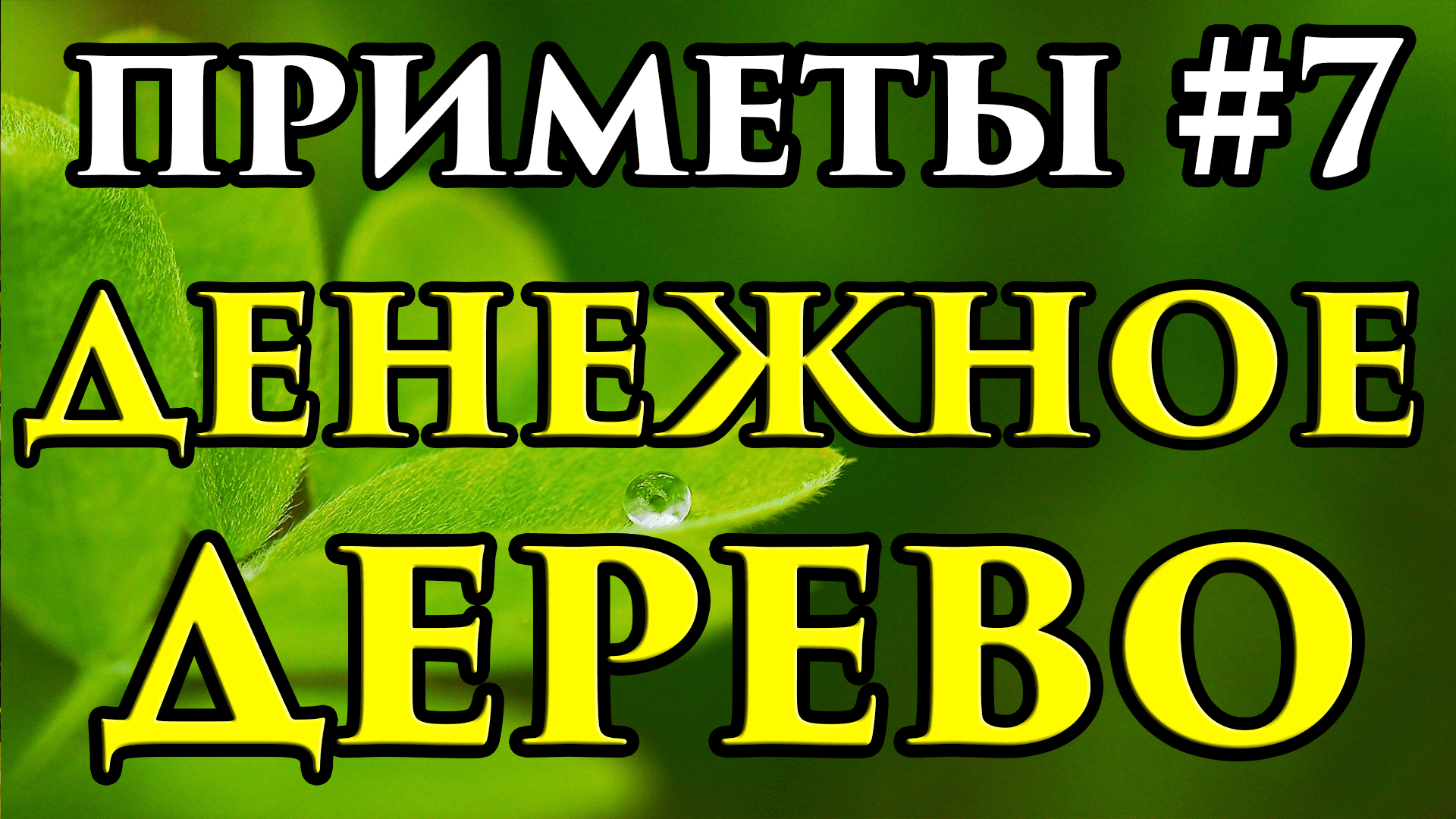 Приметы и суеверия о Денежном дереве ? - Маг Fose