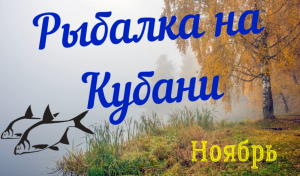 Рыбалка на Кубани в СИЛЬНЫЙ ТУМАН карась рыбец густера Экспериментируем с Чесночной Прикормкой