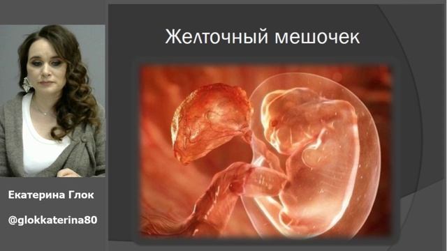Урок 1. Устройство женского организма.