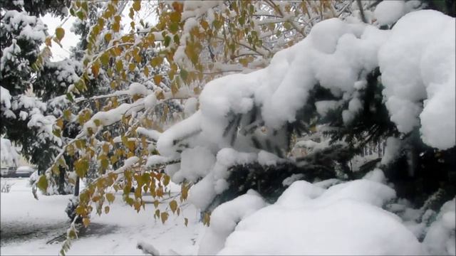 Зимняя сказка в лесу !!!