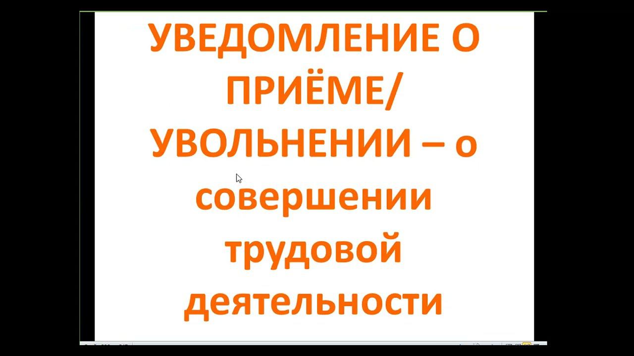 Уведомление САМИМ иностранцем (работа по патенту) о заключении трудового договора, 2024