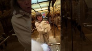 Красавчик Боня.🥰🥰🥰 Померанский шпиц. Забавные животные.