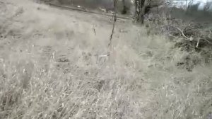 #Установили столбы под свет. Привезли рамы и строит  отходы от блогеров Тани и Маши