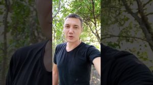 Расчистка бывшего сада и неожиданные находки