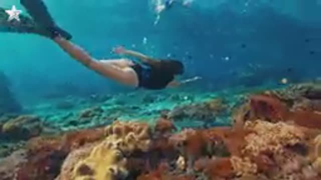 4K Summer Music Mix 2024. Deep Ocean.